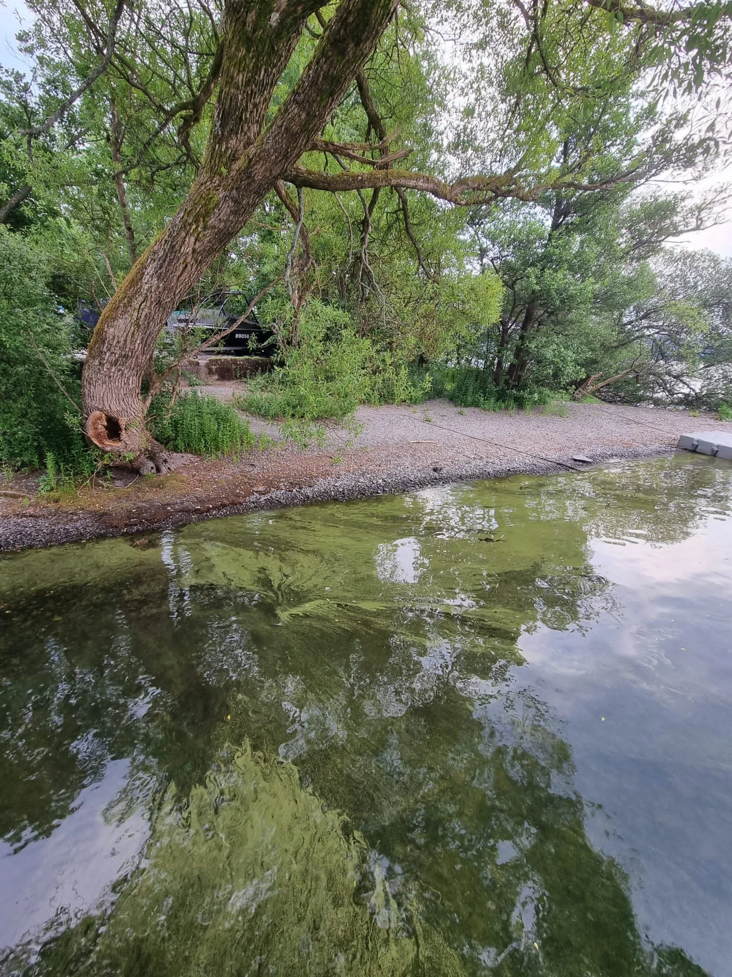 News & Updates · Save Windermere