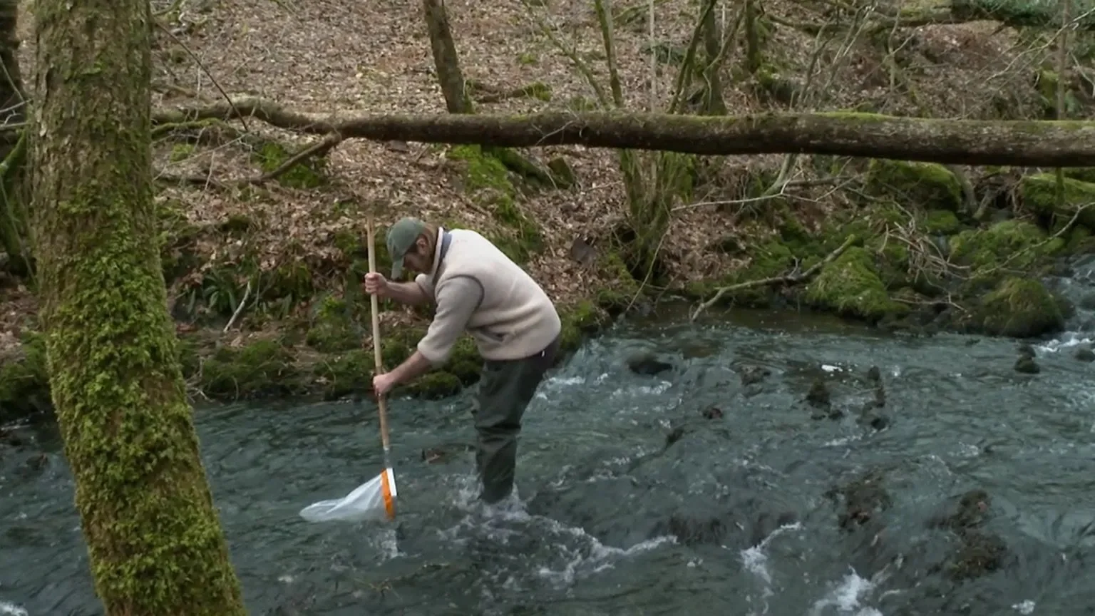 News & Updates · Save Windermere