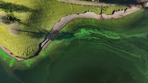 Who We Are · Save Windermere