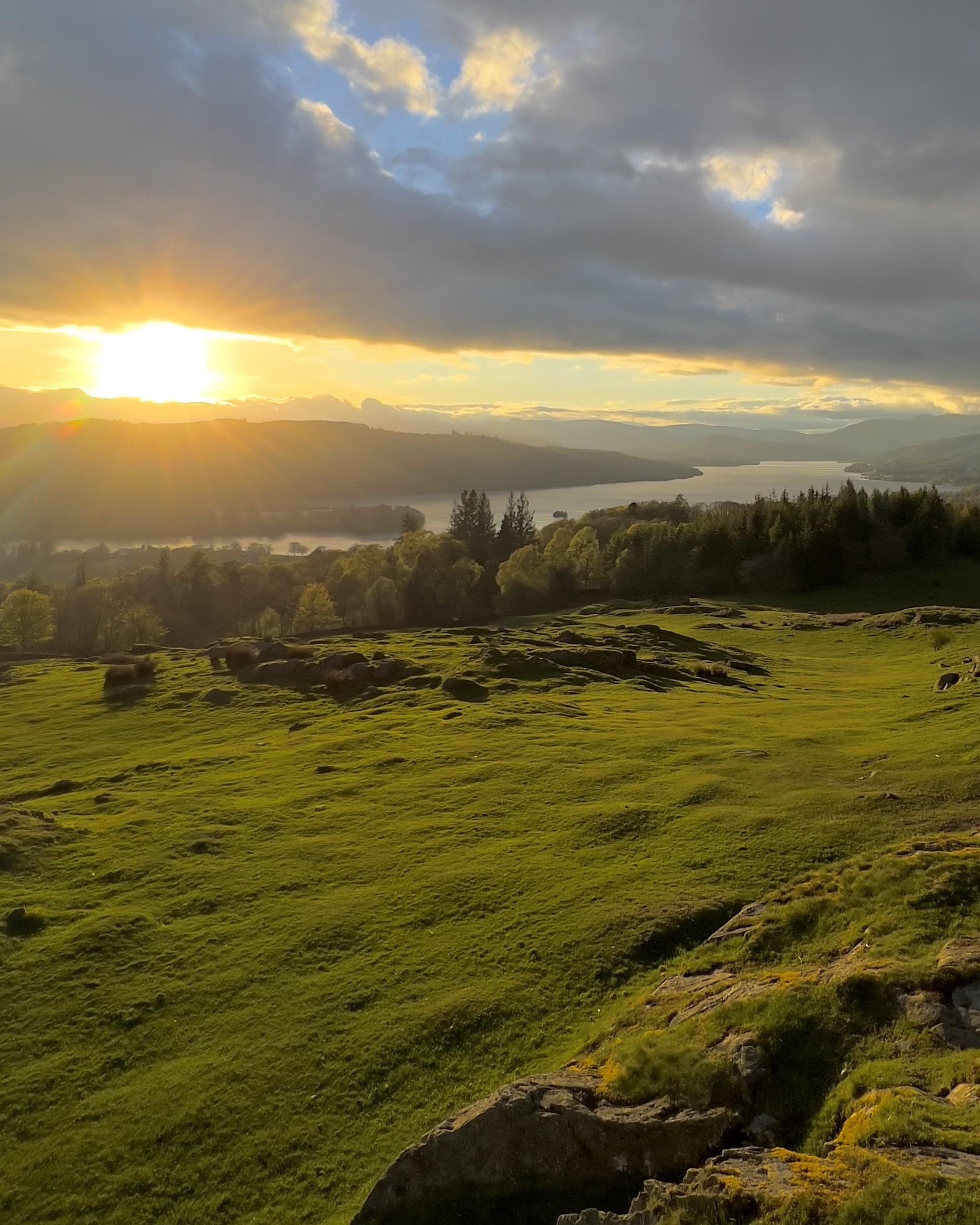 Save Windermere · Stop the Sewage