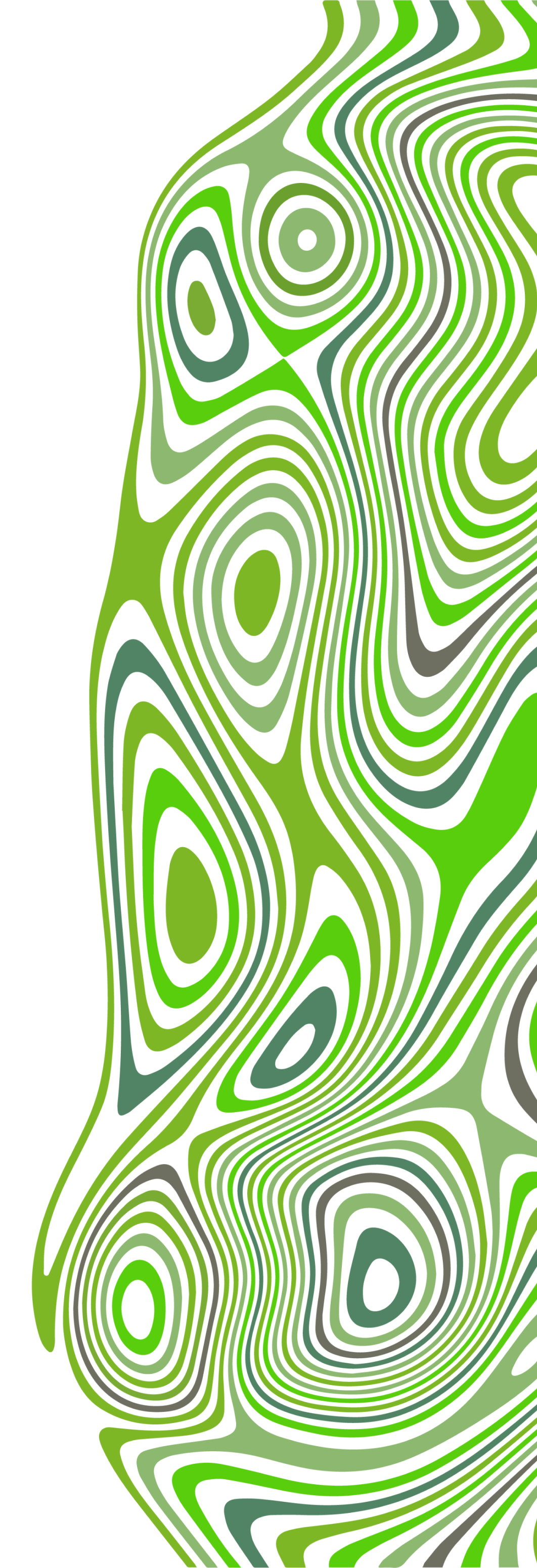 Vision & Values · Save Windermere