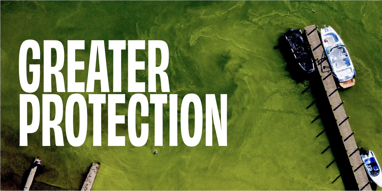 Save Windermere · Stop the Sewage