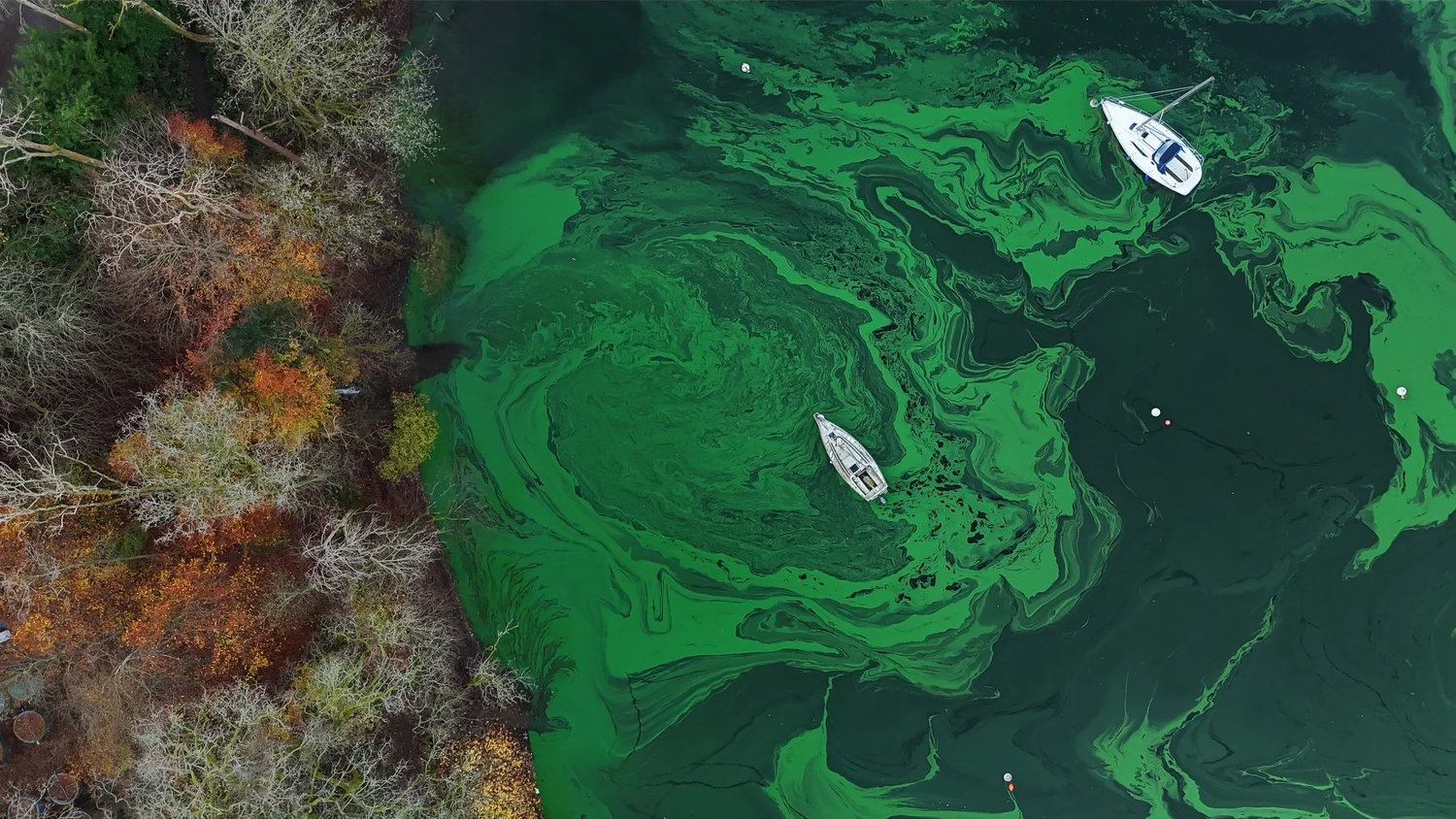 Save Windermere · Stop the Sewage