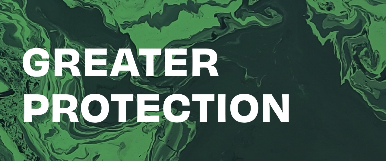 Save Windermere · Stop the Sewage