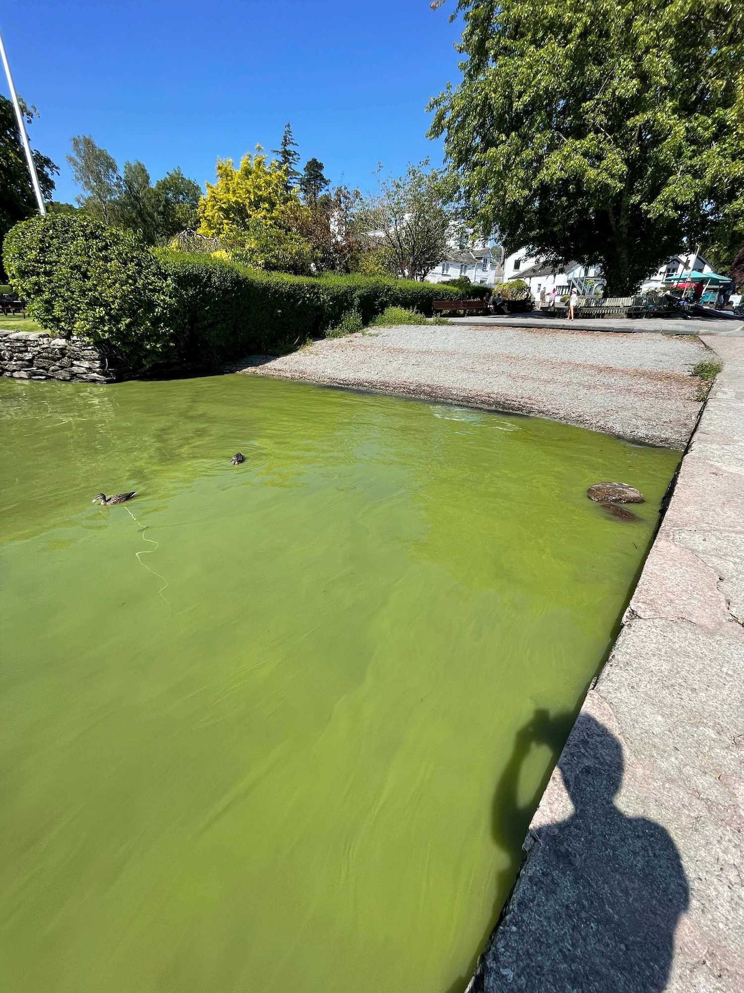 Save Windermere · Stop the Sewage