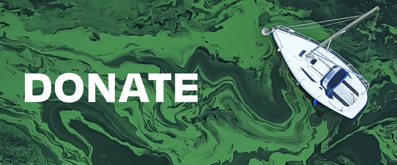 Save Windermere · Stop the Sewage