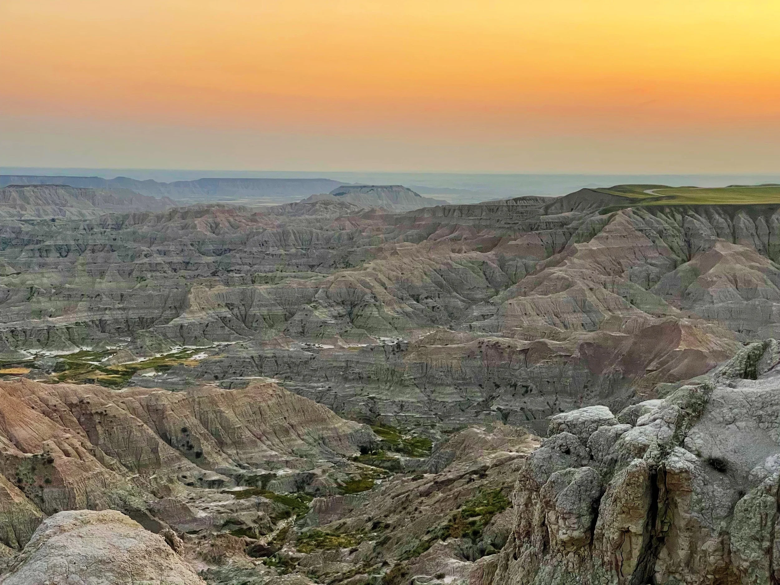 About — Dr. Elizabeth Stout, LLC