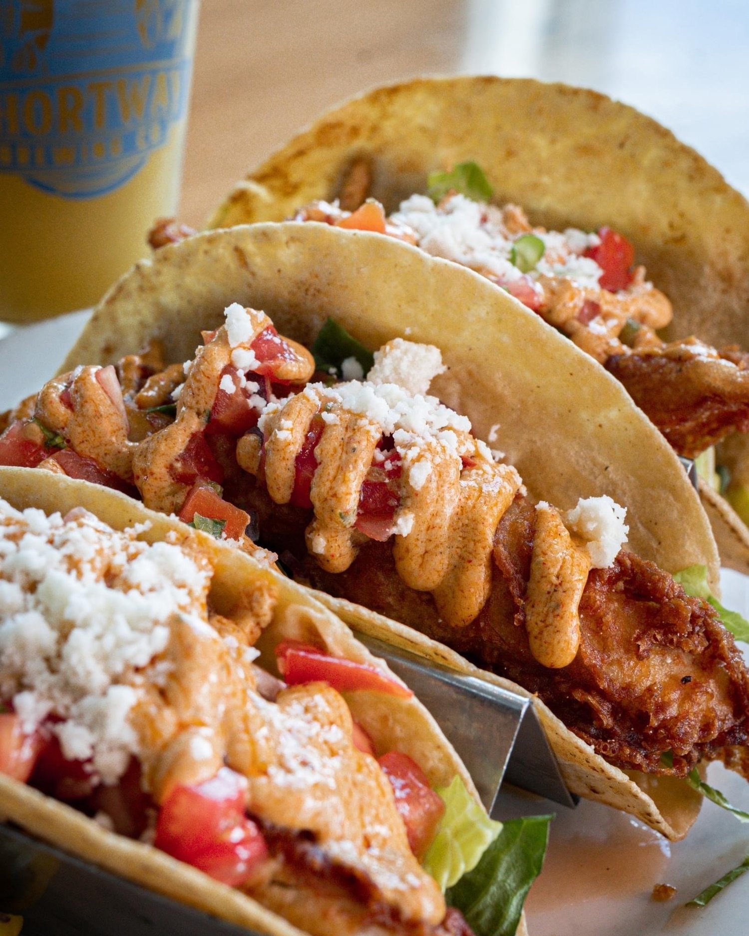 Gallery — Persimmons