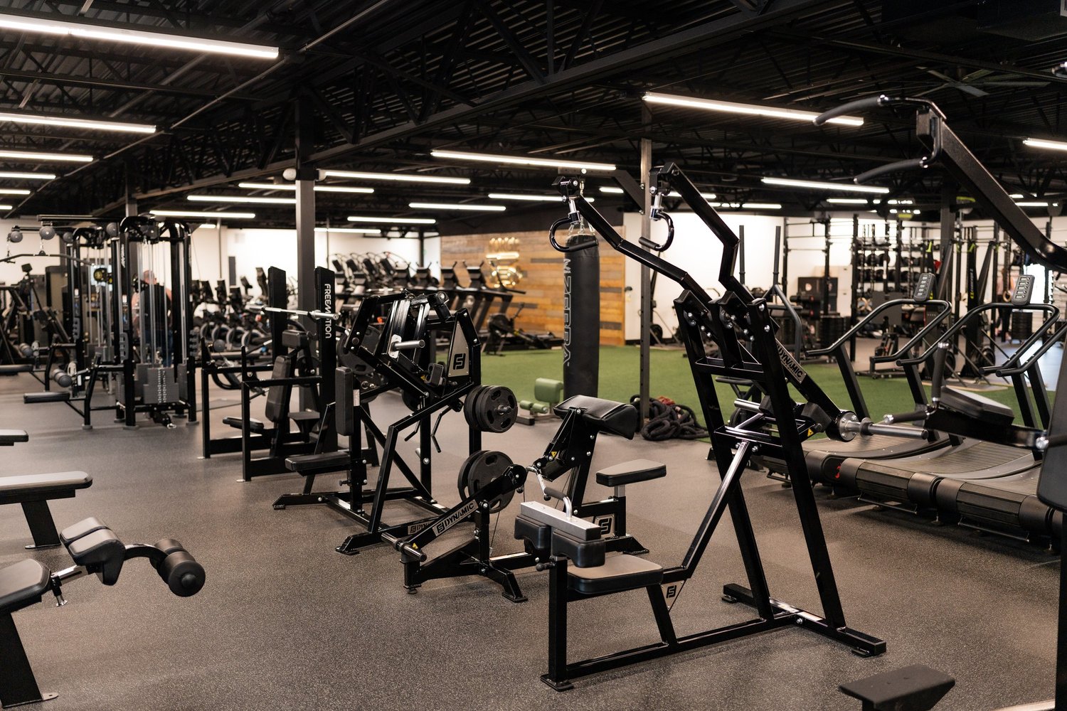 Conventional Gym — Forge Training And Performance