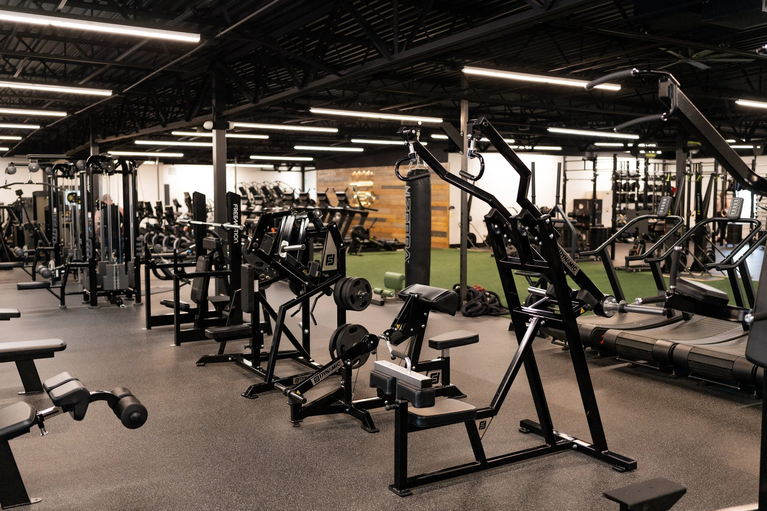 Conventional Gym — Forge Training And Performance