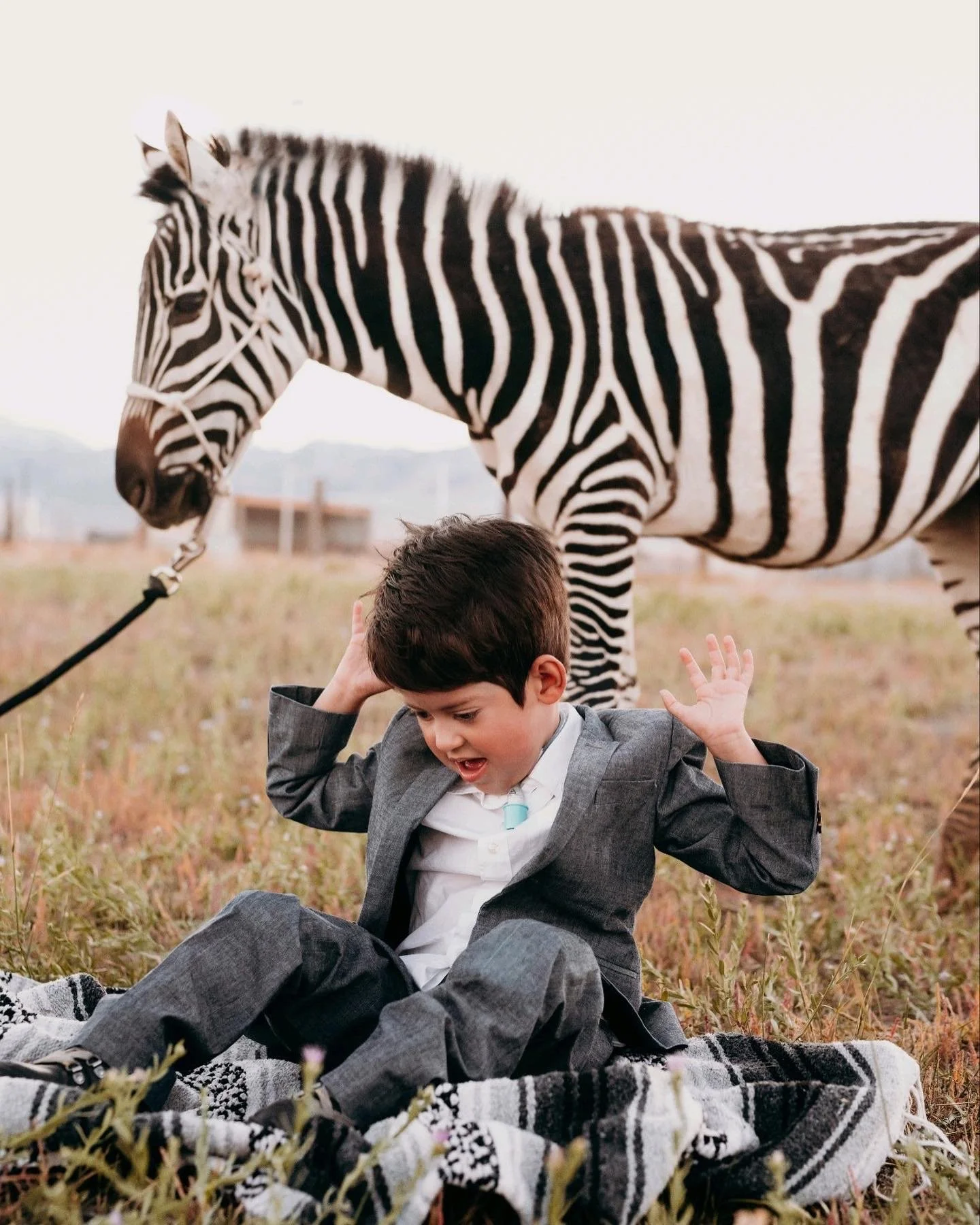 About 1 — Forge Training And Performance