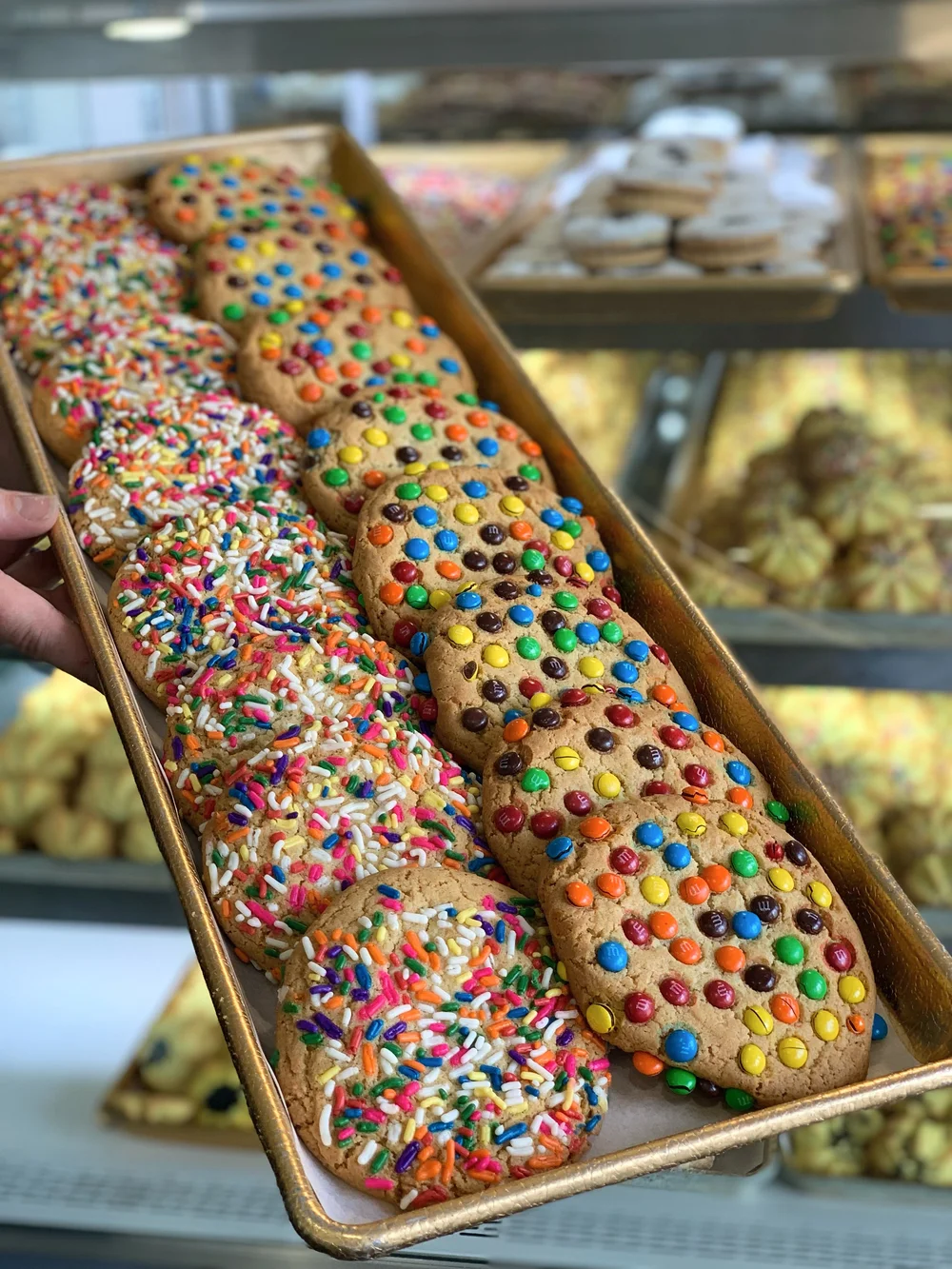 Bakery Outlet — Glenn Wayne Bakery