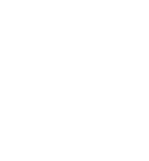 Foster Village Charlotte