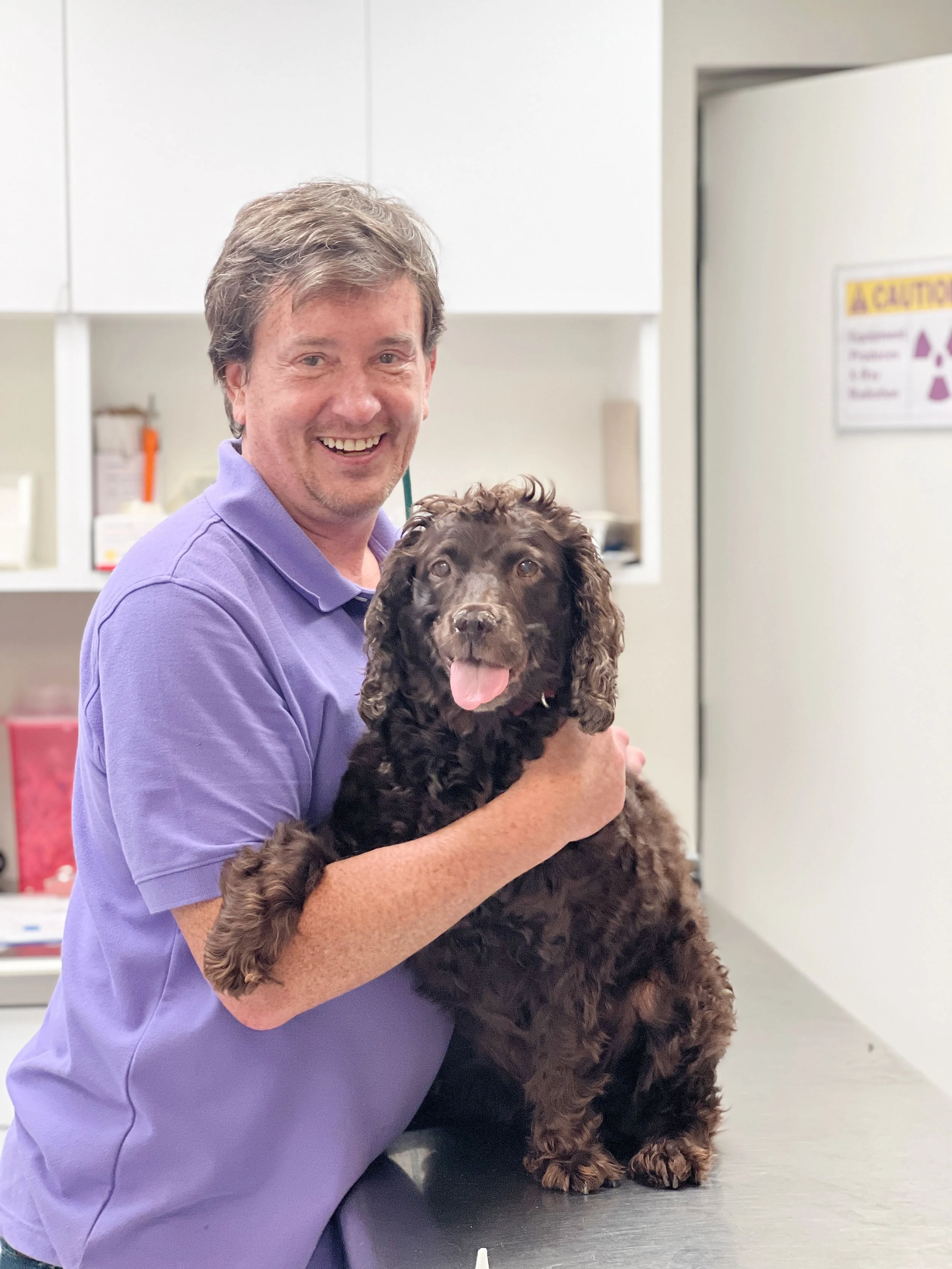 VCB Dental Cleaning — Best Veterinary in Atlanta : Veterinary Center of ...