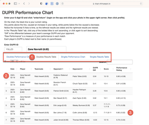 Taking a Closer Look at Your DUPR Stats — Pickleball JAM