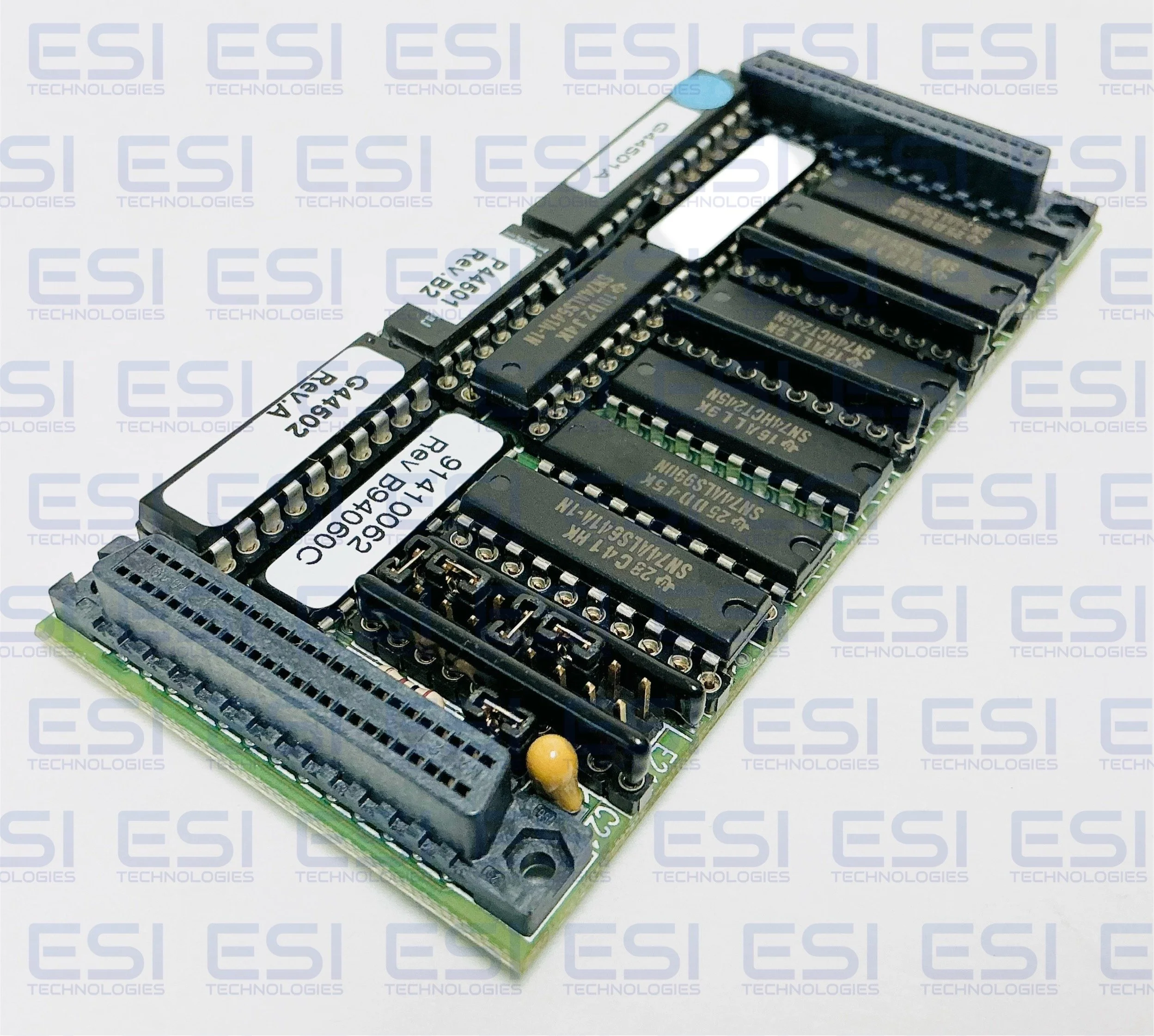 Computer Repair and Sales IP-Digital24 Greenspring IndustryPack. | ESI ...