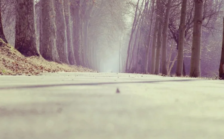 How to Set Goals Like a Normal Person — The Lazy Genius