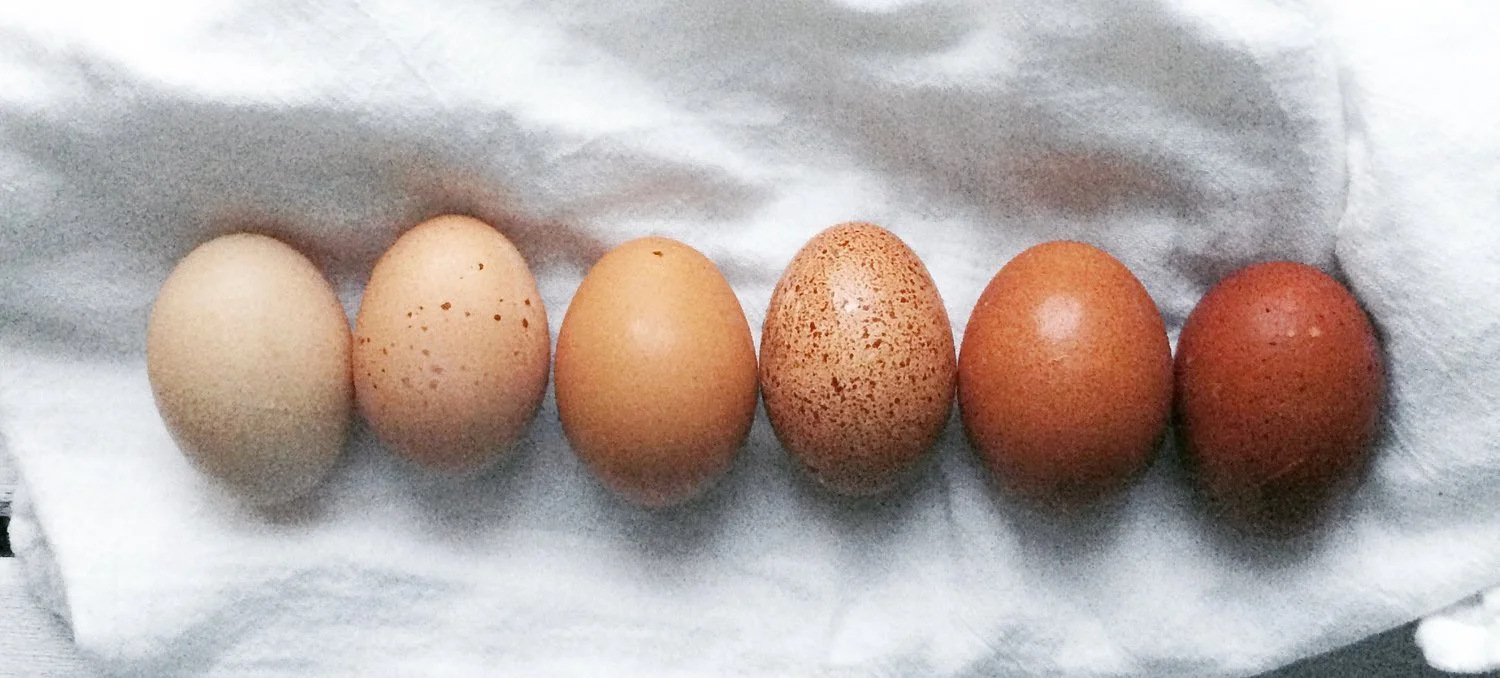 A Baking Miniseries, Day Seven: Essential Breakfast Recipes — The Lazy ...