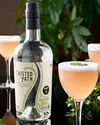 Cilantro Vodka Recipes | Explore Our Spirits — Twisted Path Distillery
