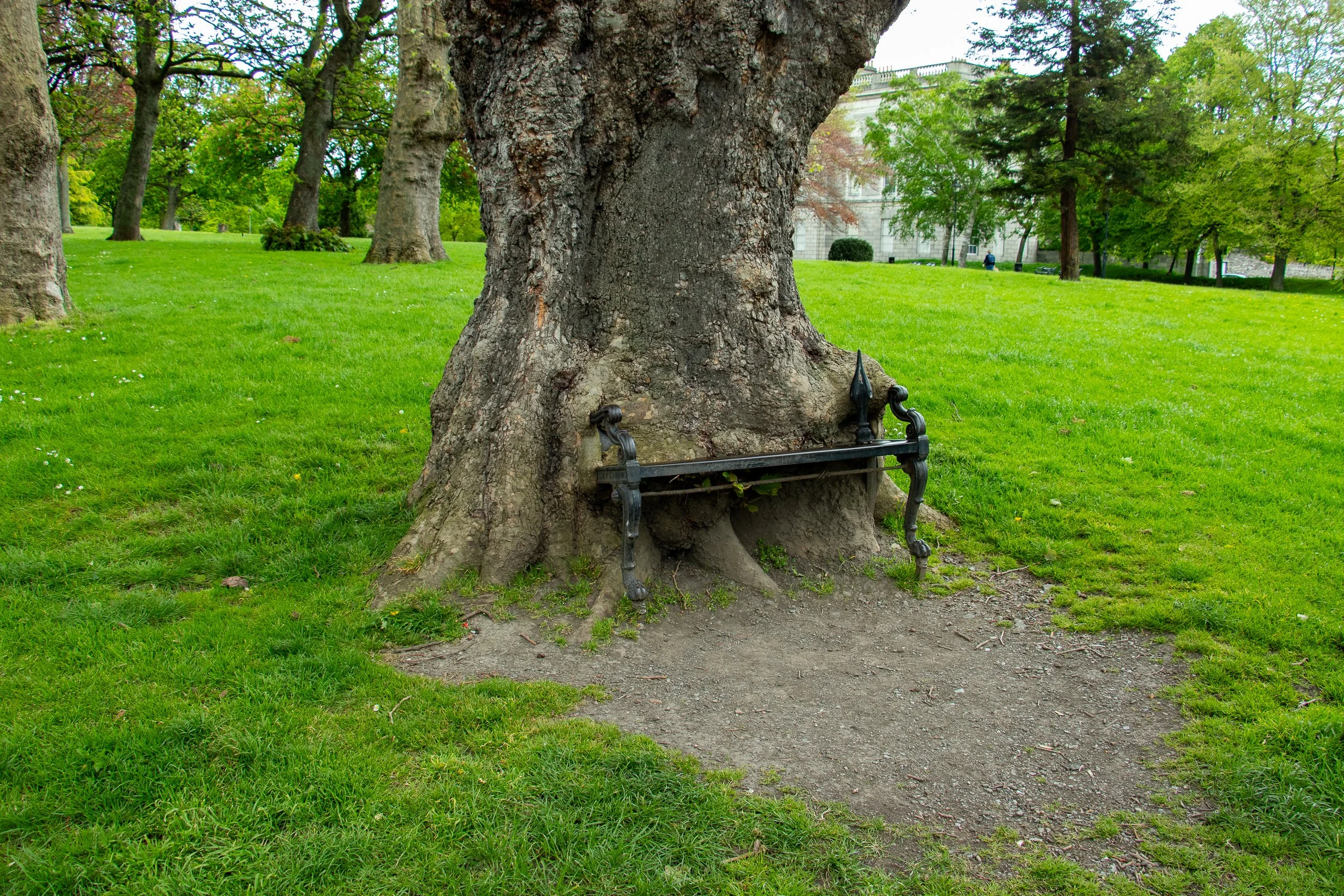 The Gilded Gosling-Travel Guides