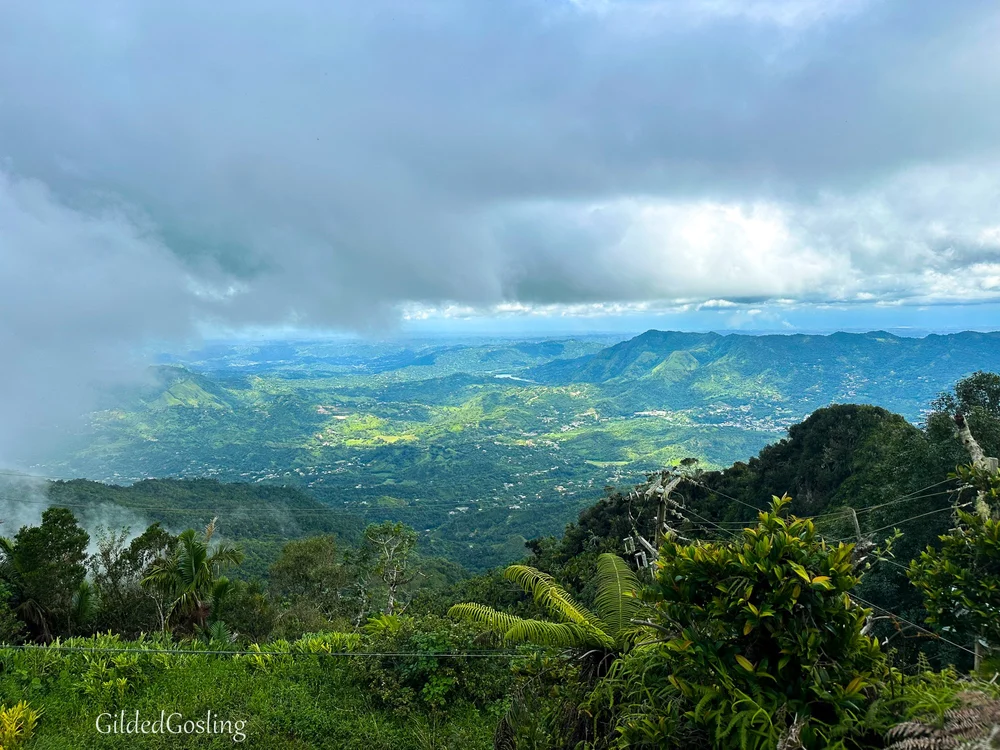 The Gilded Gosling-Travel Guides