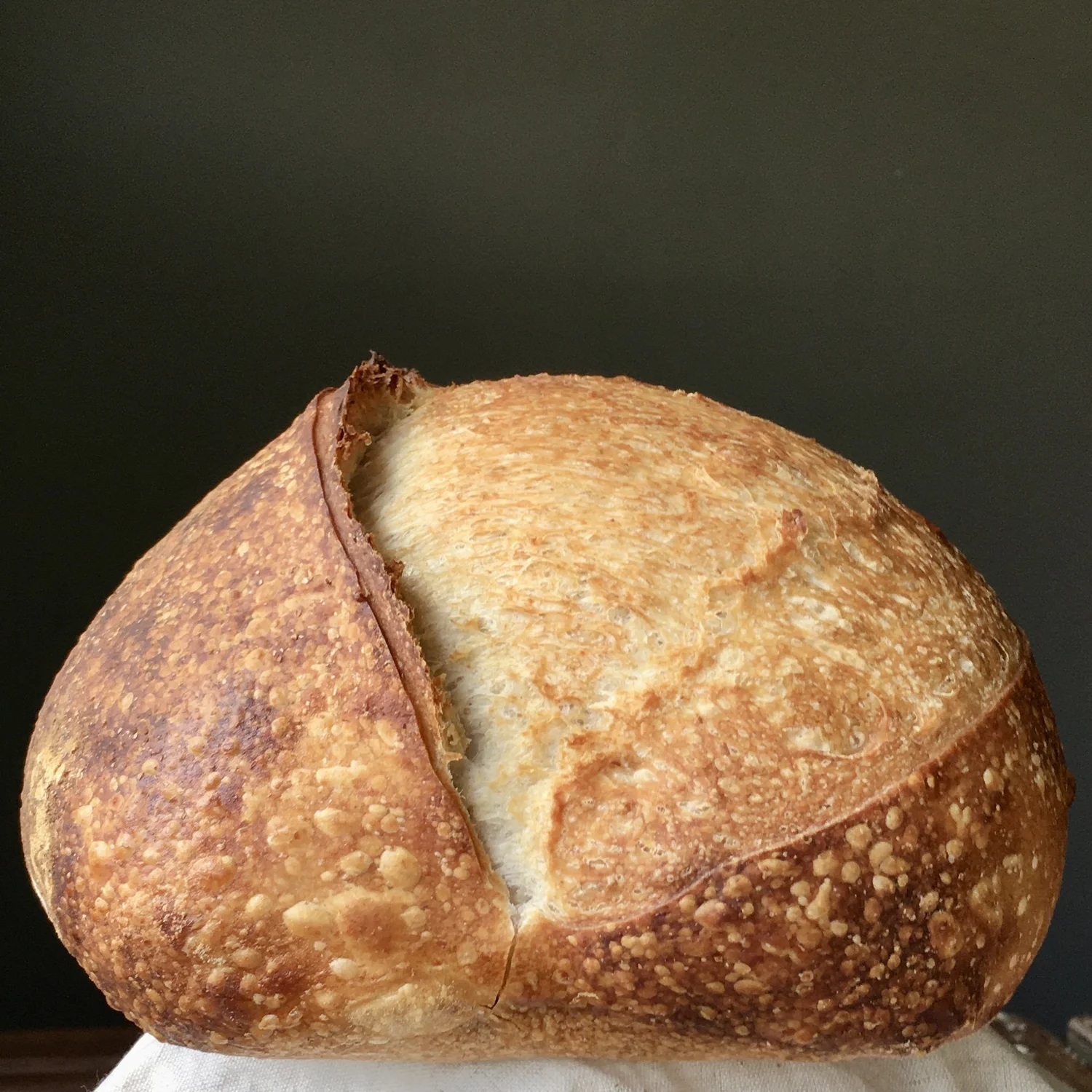 Bolivar Bread Bakery