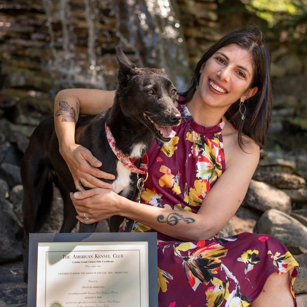 Canine Complex and Friends