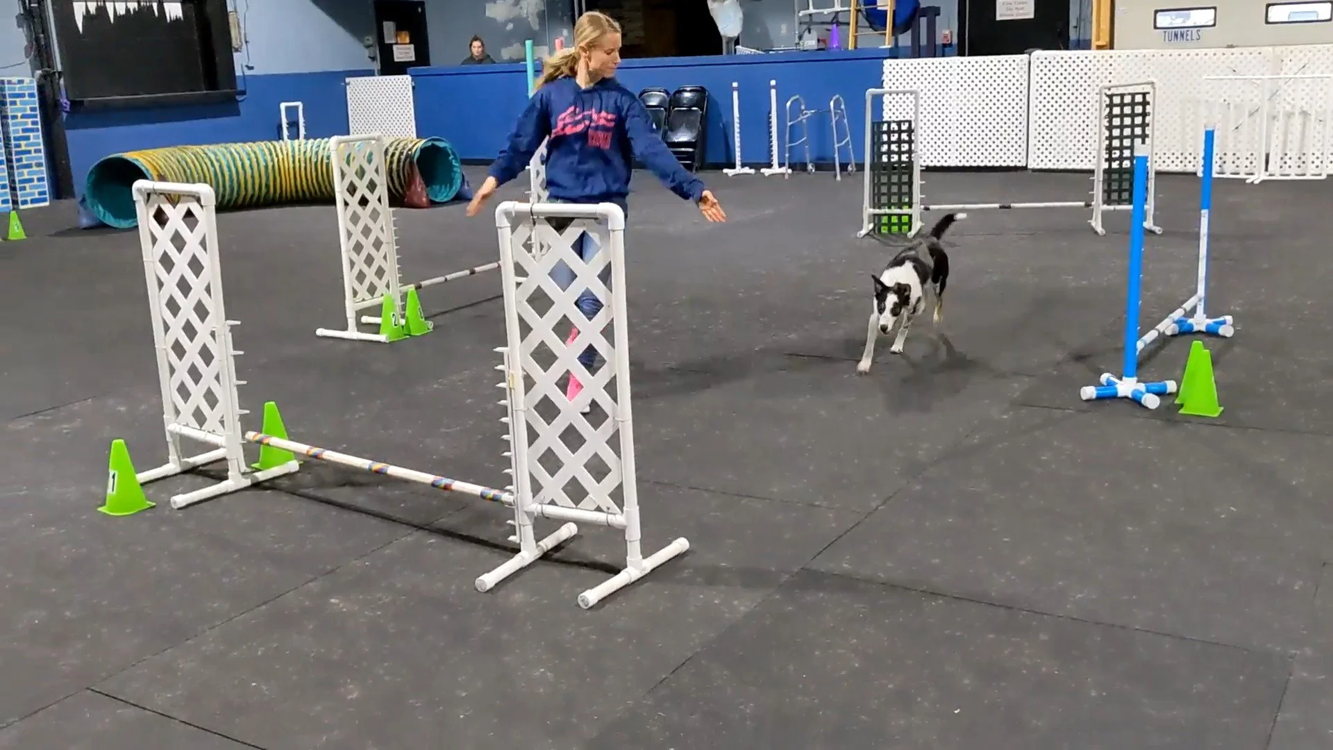 Canine Complex and Friends