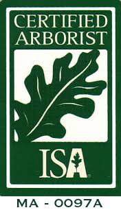 Certified Local Arborist Tree Service | Donegan