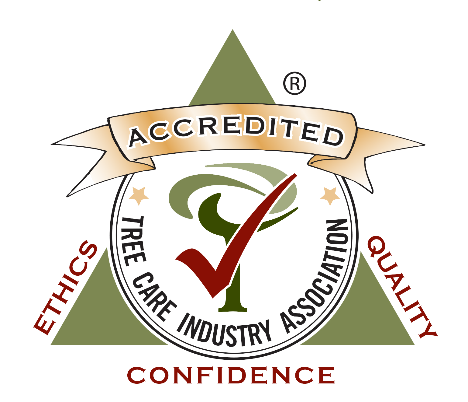 Certified Local Arborist Tree Service | Donegan