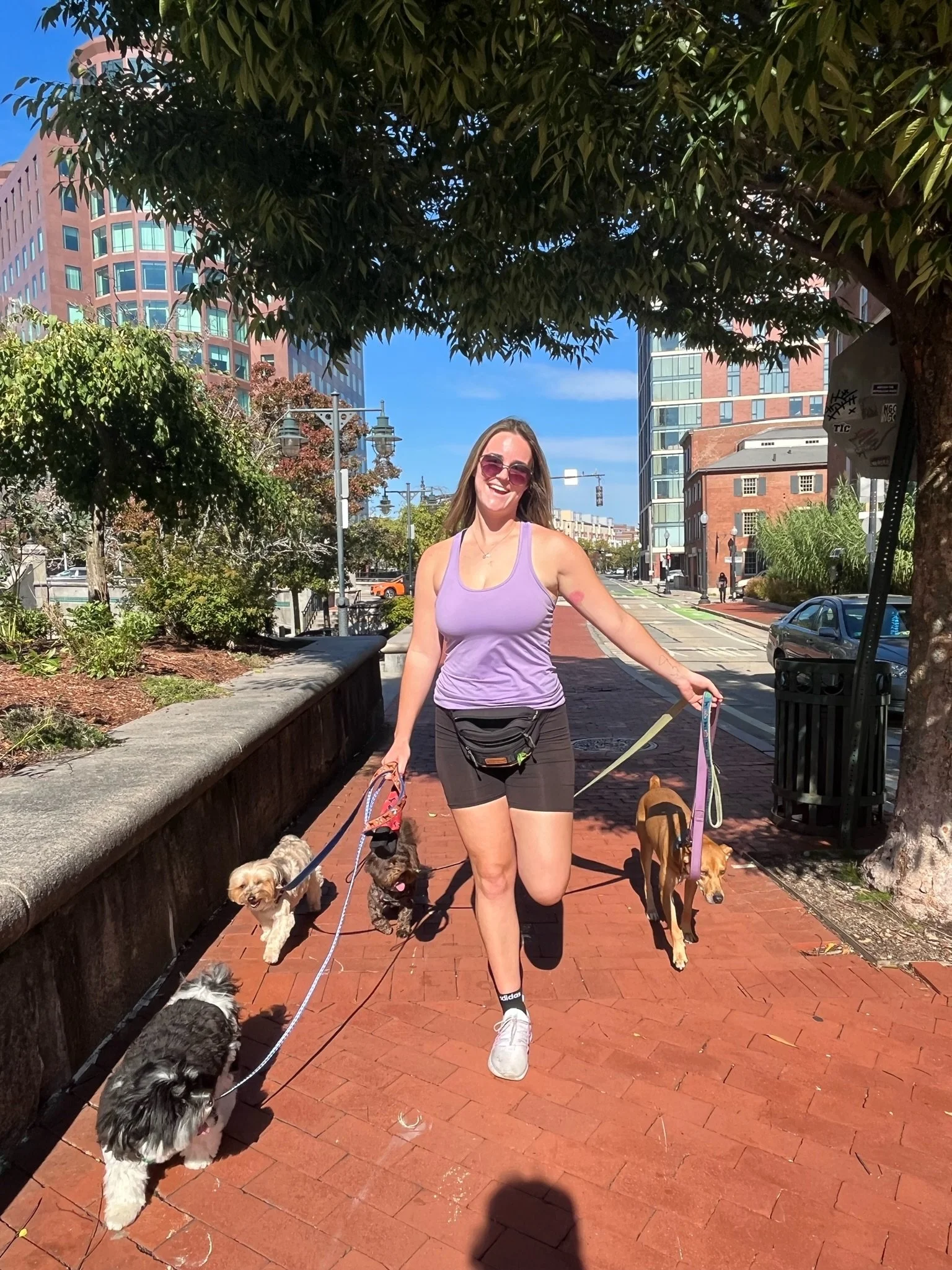 Dog walking — Tails N Trails