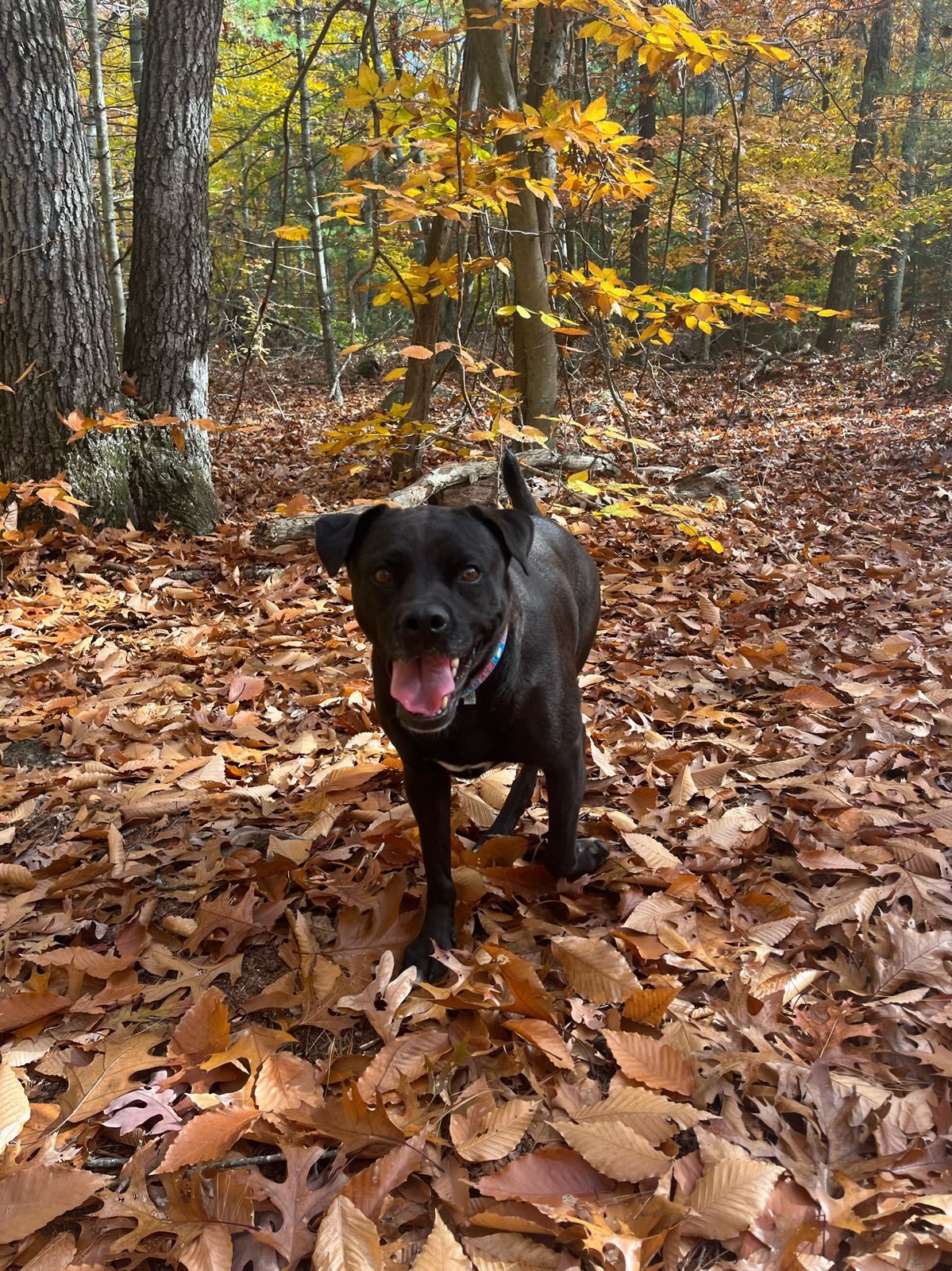 Our Locations — Tails N Trails