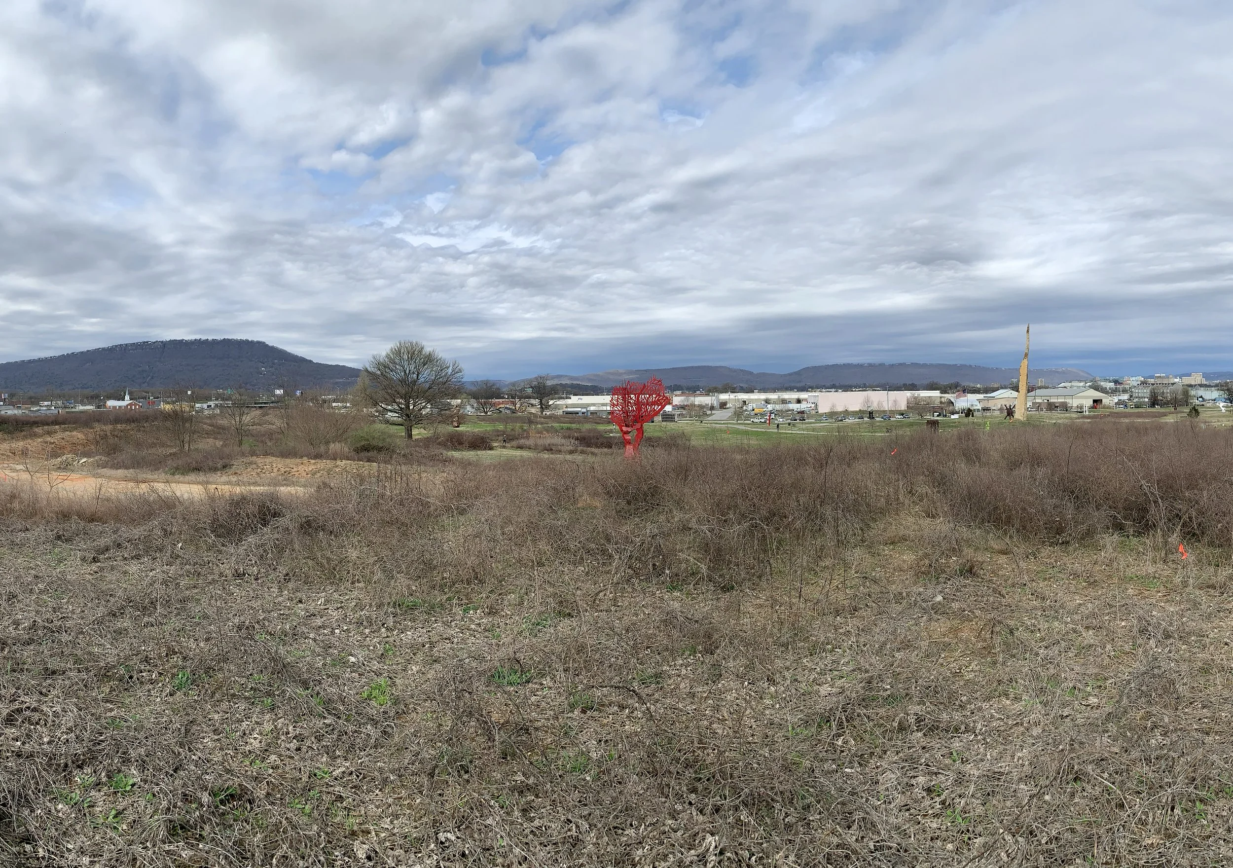 The Vision — A Unifying Vision for Montague Park