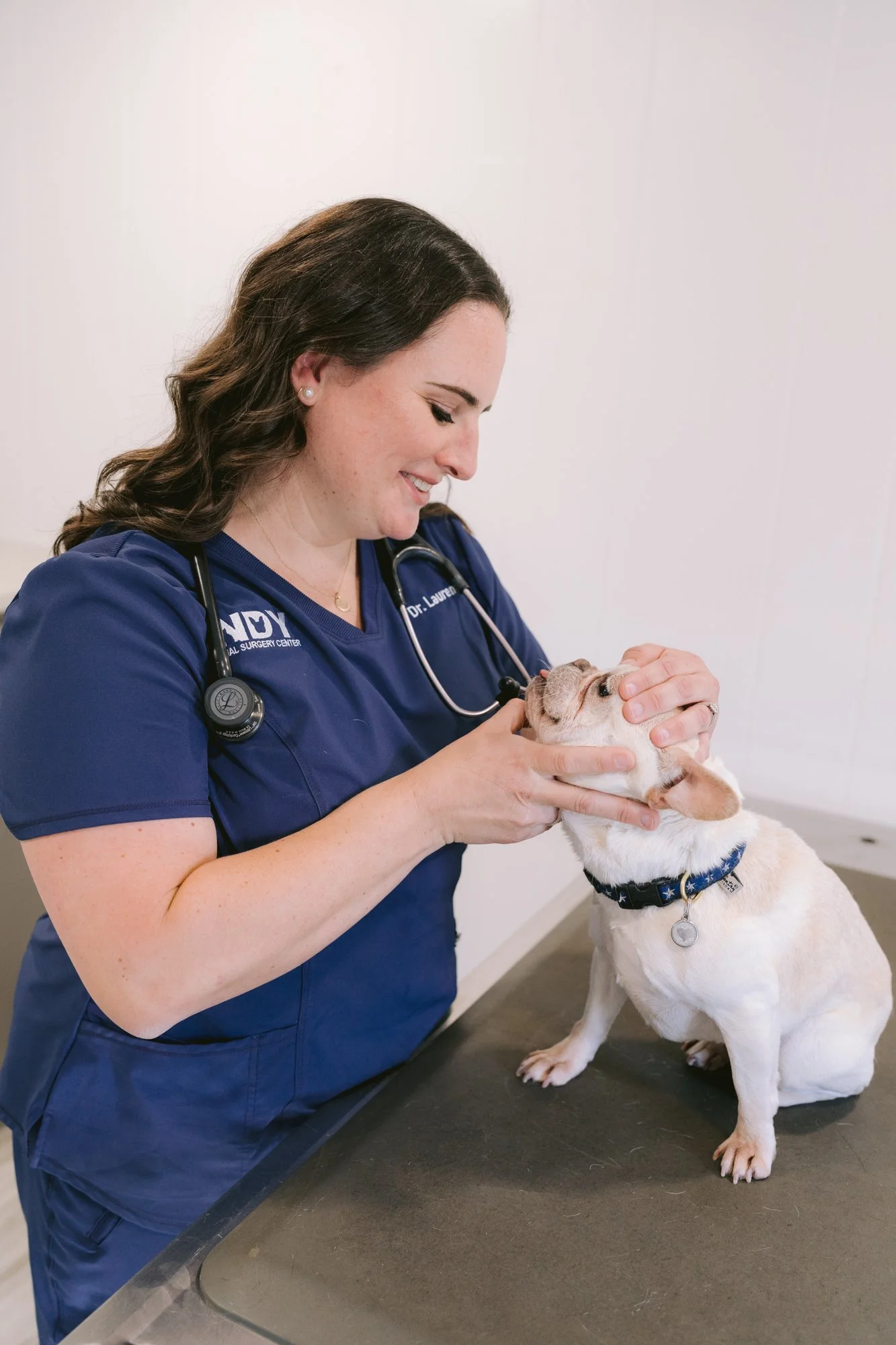 Indy Animal Surgery Center