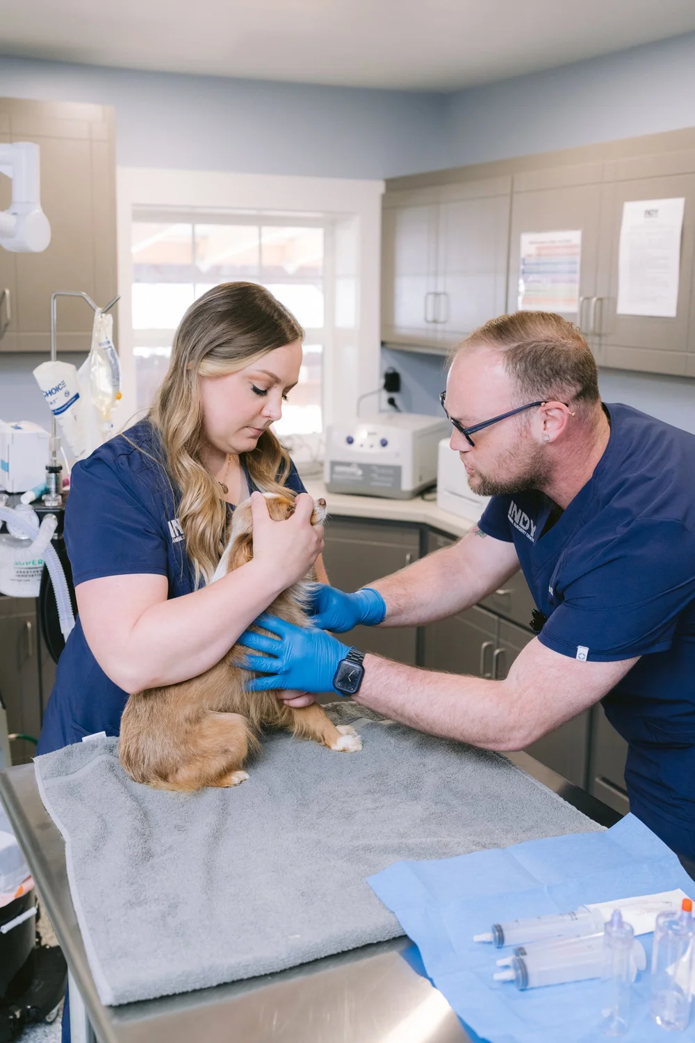 Services — Indy Animal Surgery Center