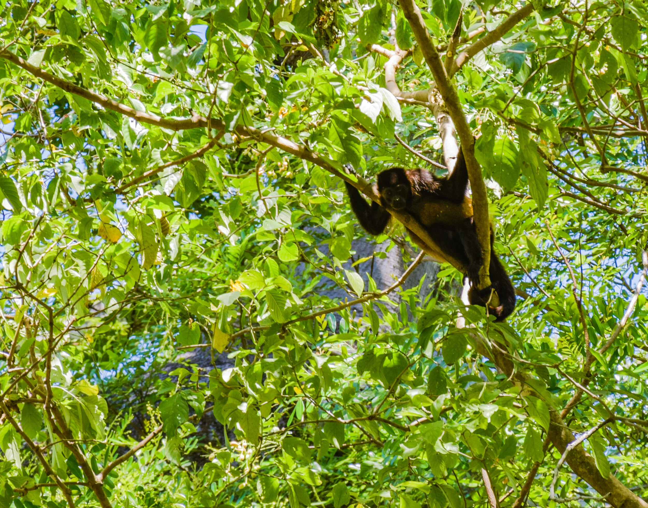 Discover Laguna de Apoyo
