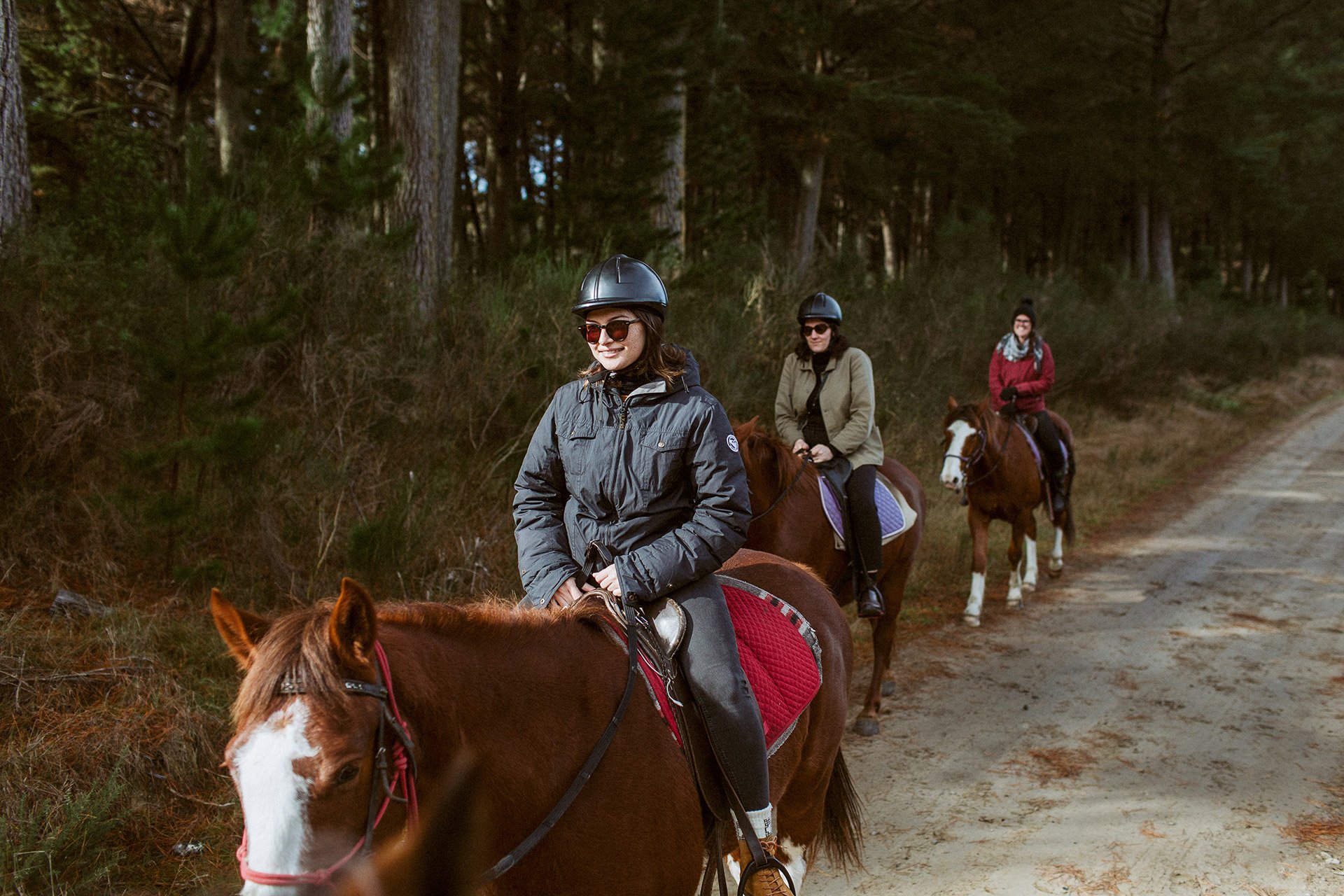 Enchanted Forest — Our Rides — Korohe Horse Treks — Explore Lake Taupo