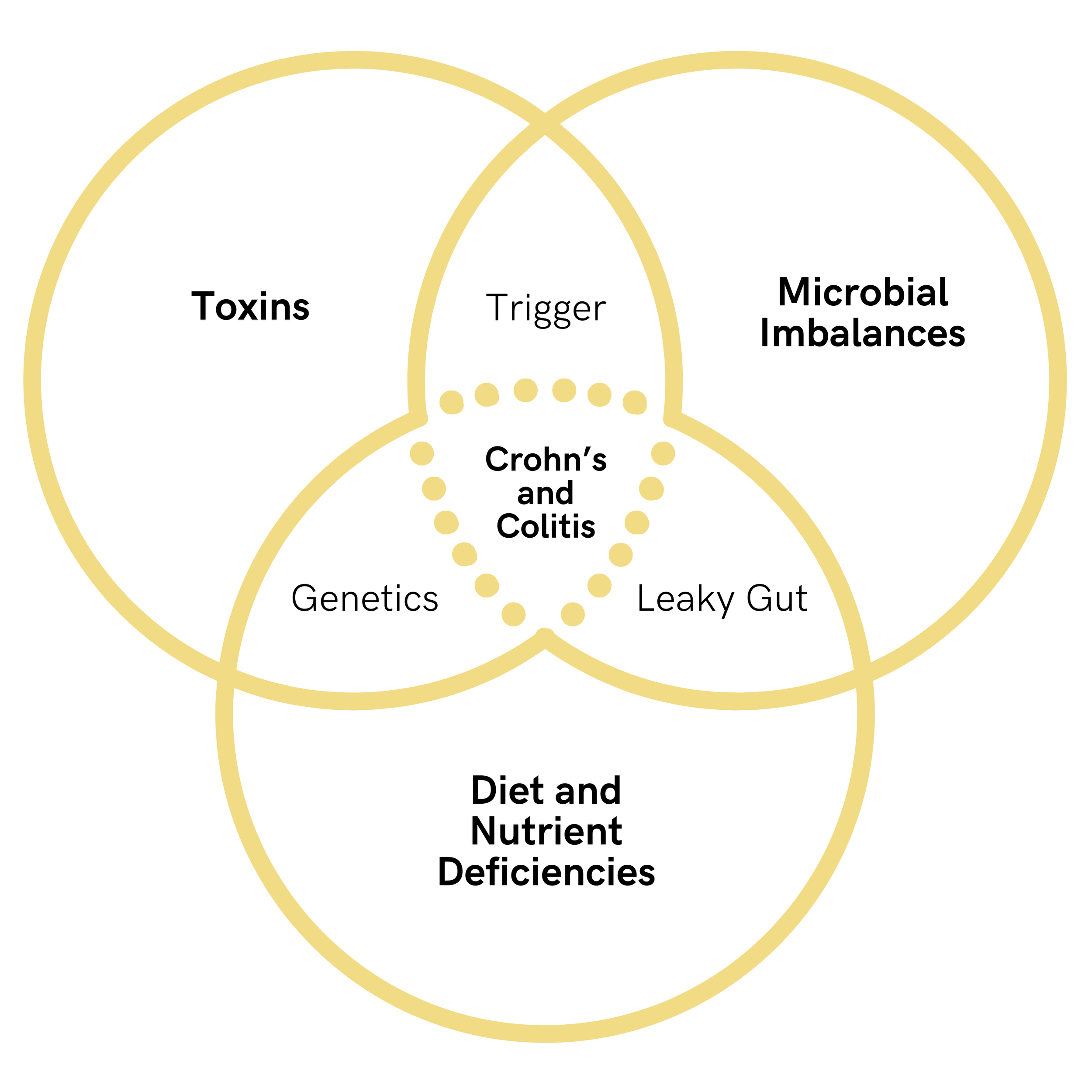 The Gut Health Solution