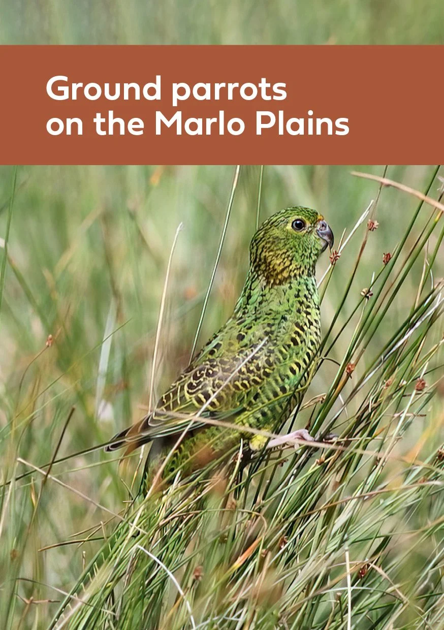 Resources — Far East Victoria Landcare