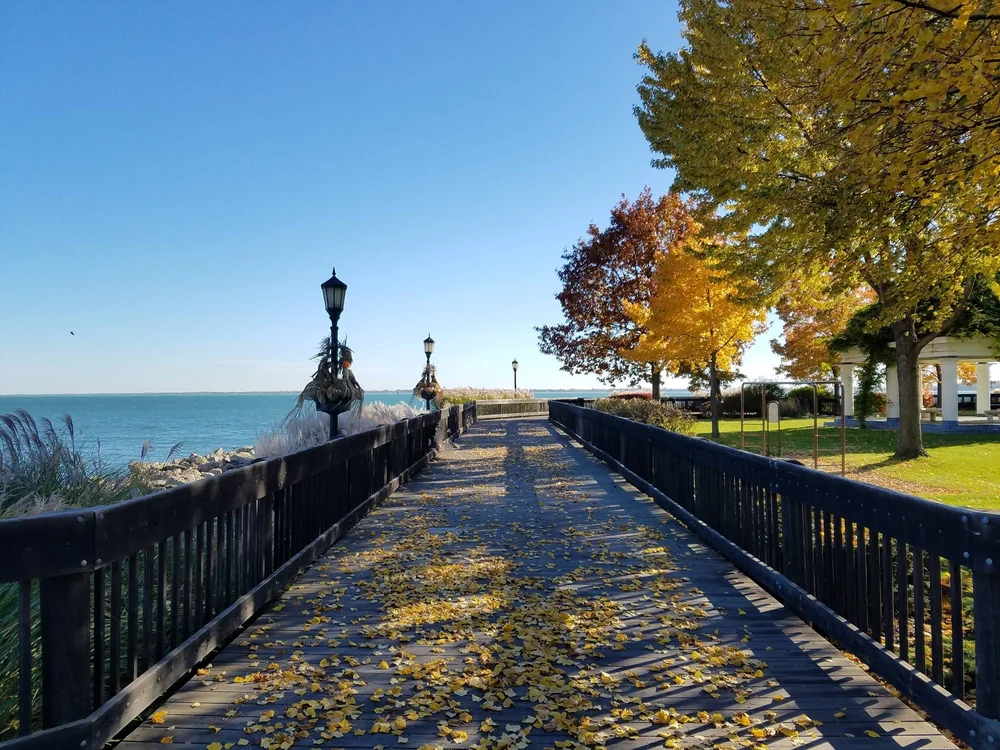 Team — E2 Behavioral Health, PLLC