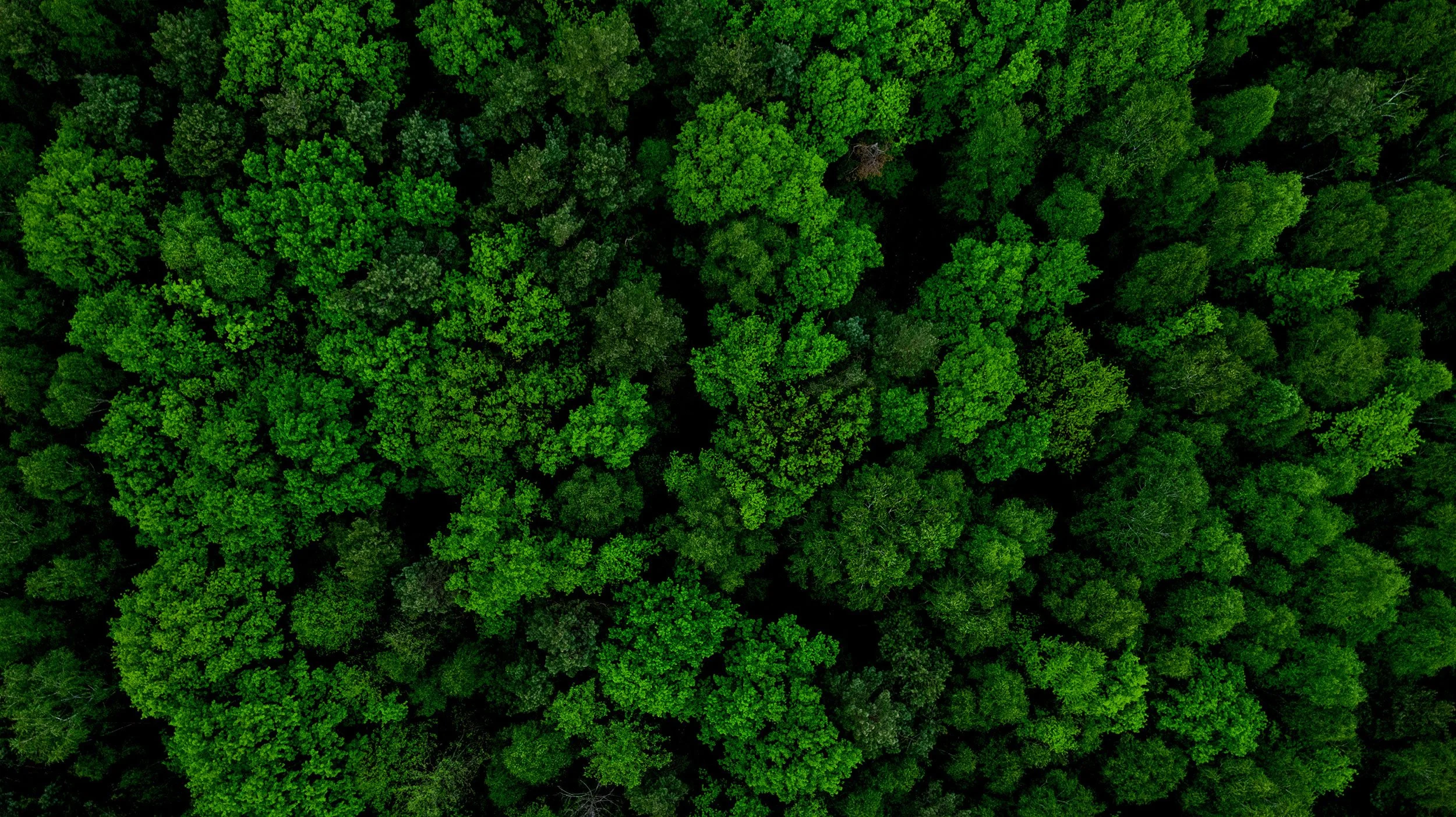 Mass Parks For All