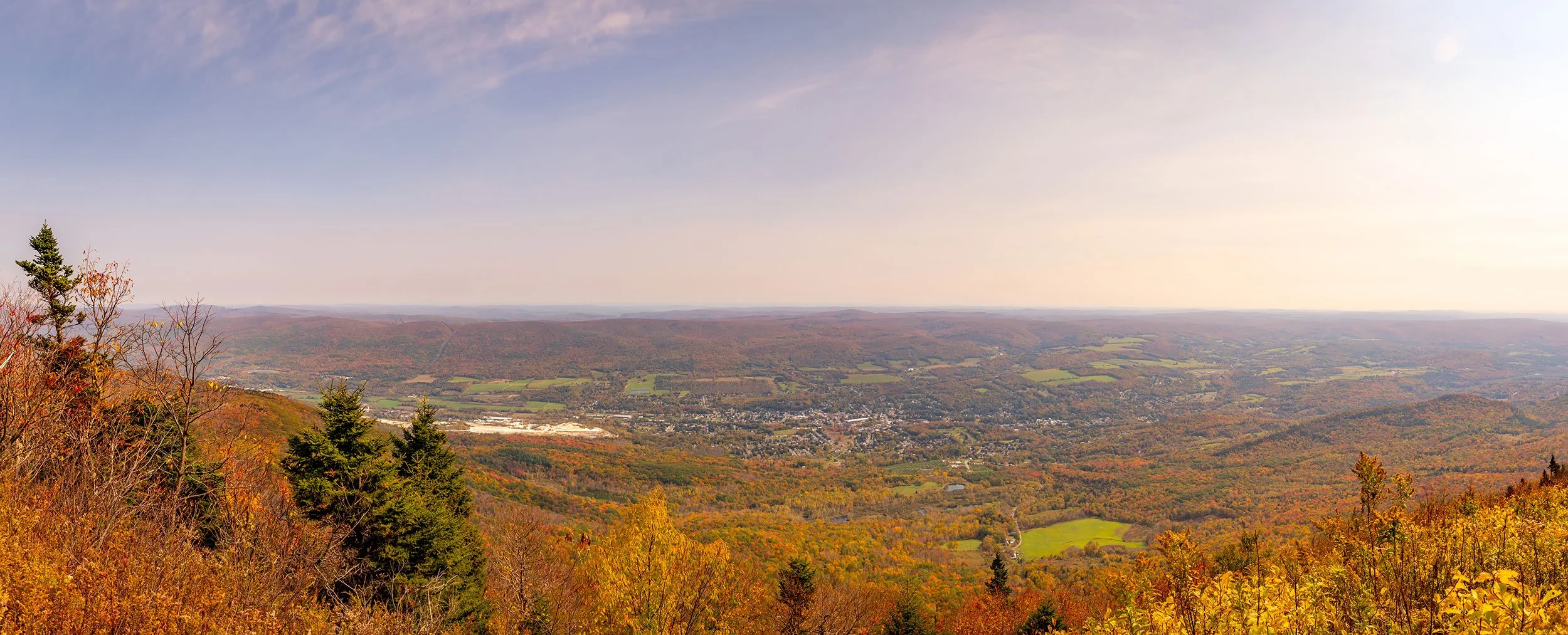 Mass Parks For All