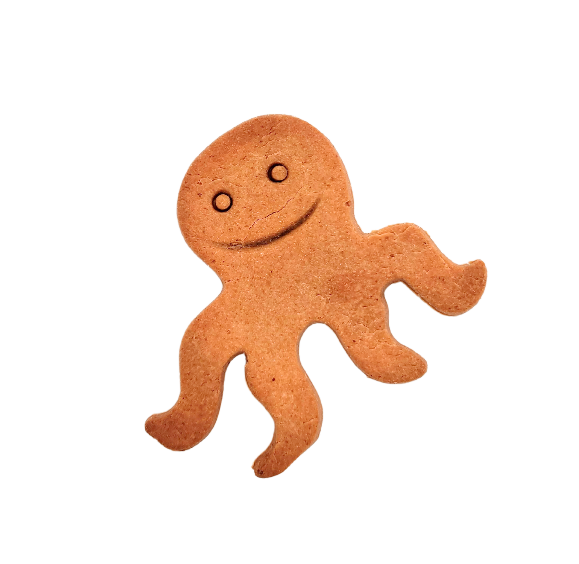 Shop — Bring! Treats for Dogs