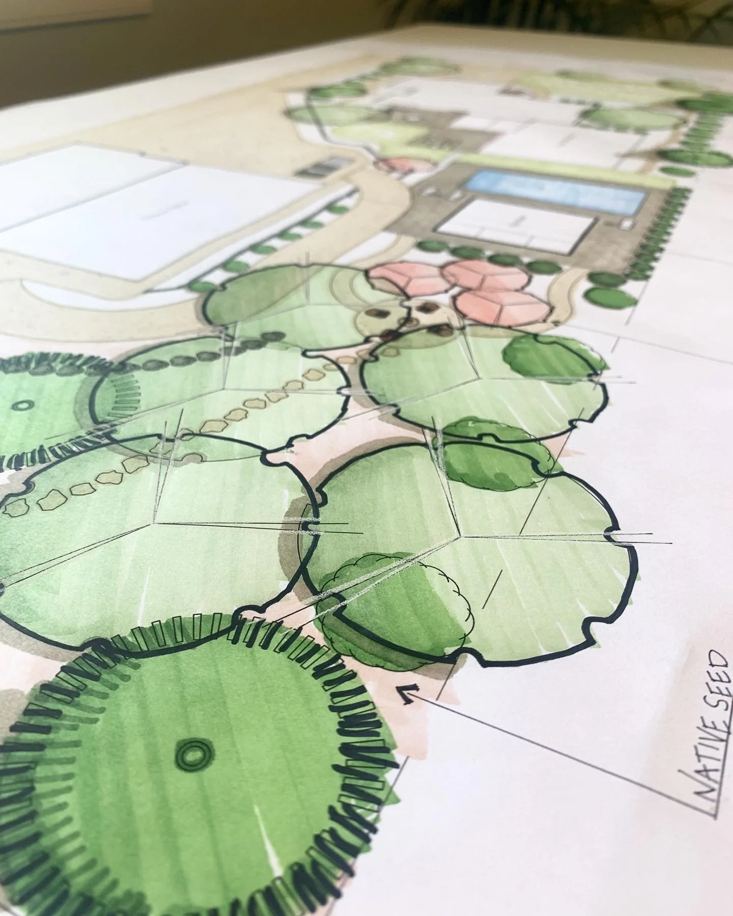 Portfolio | Threadleaf Landscape Design
