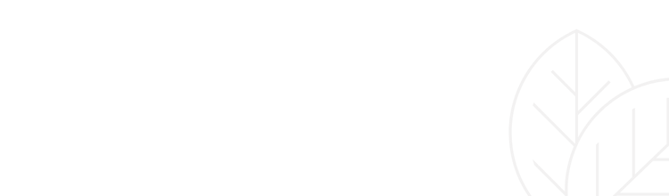 Portfolio | Threadleaf Landscape Design