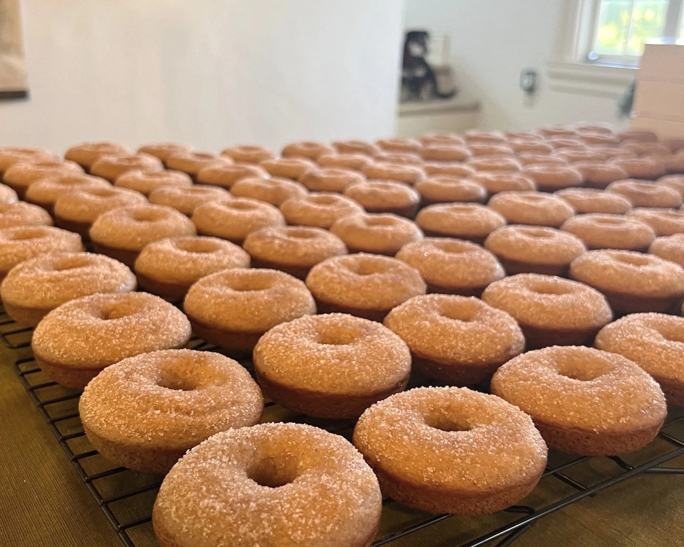 OUR DONUTS — archie's sunday donuts™