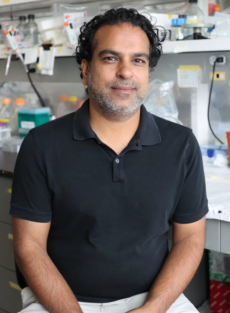 Group Members — Sonenberg Lab