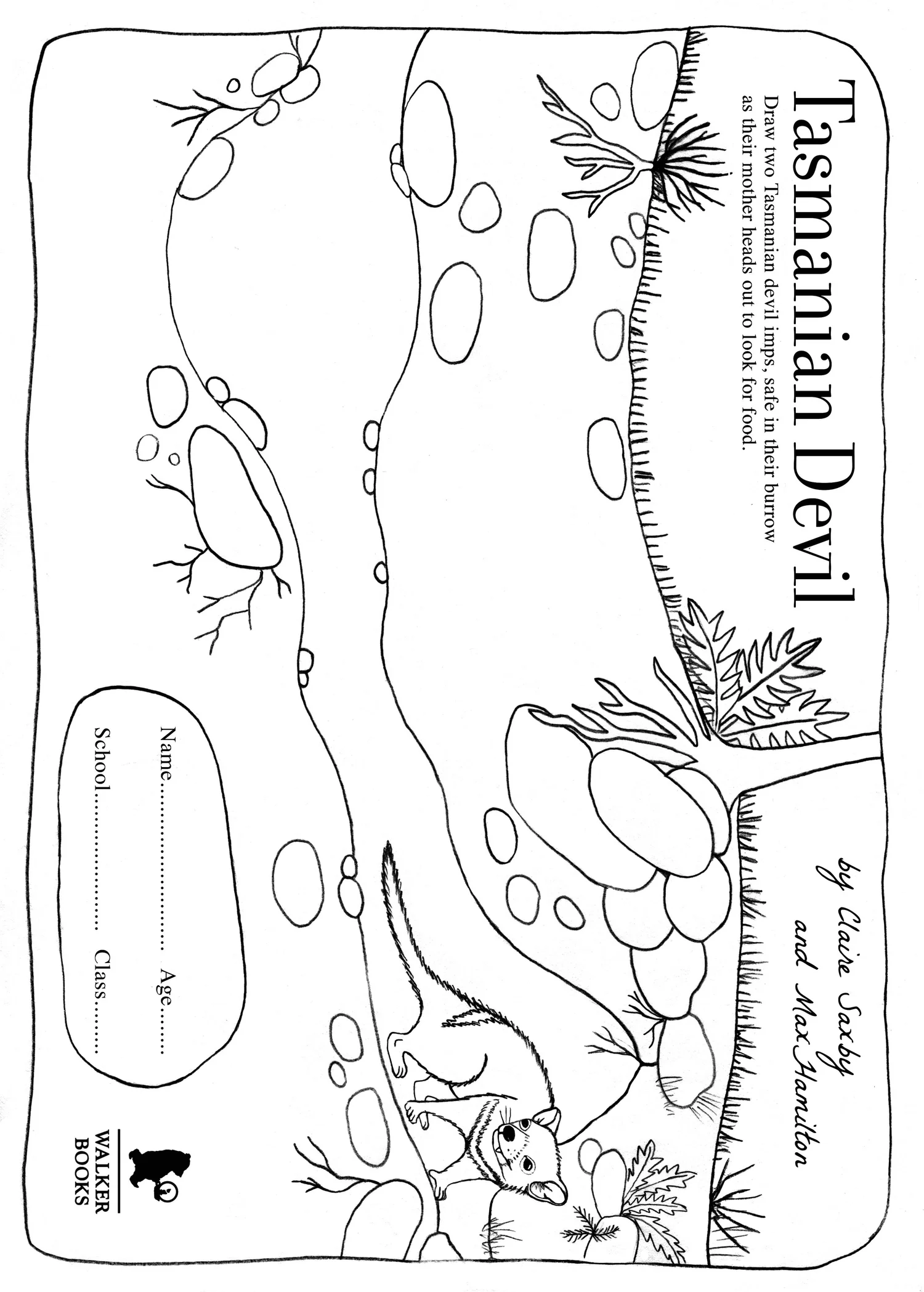 Activities — Max Hamilton