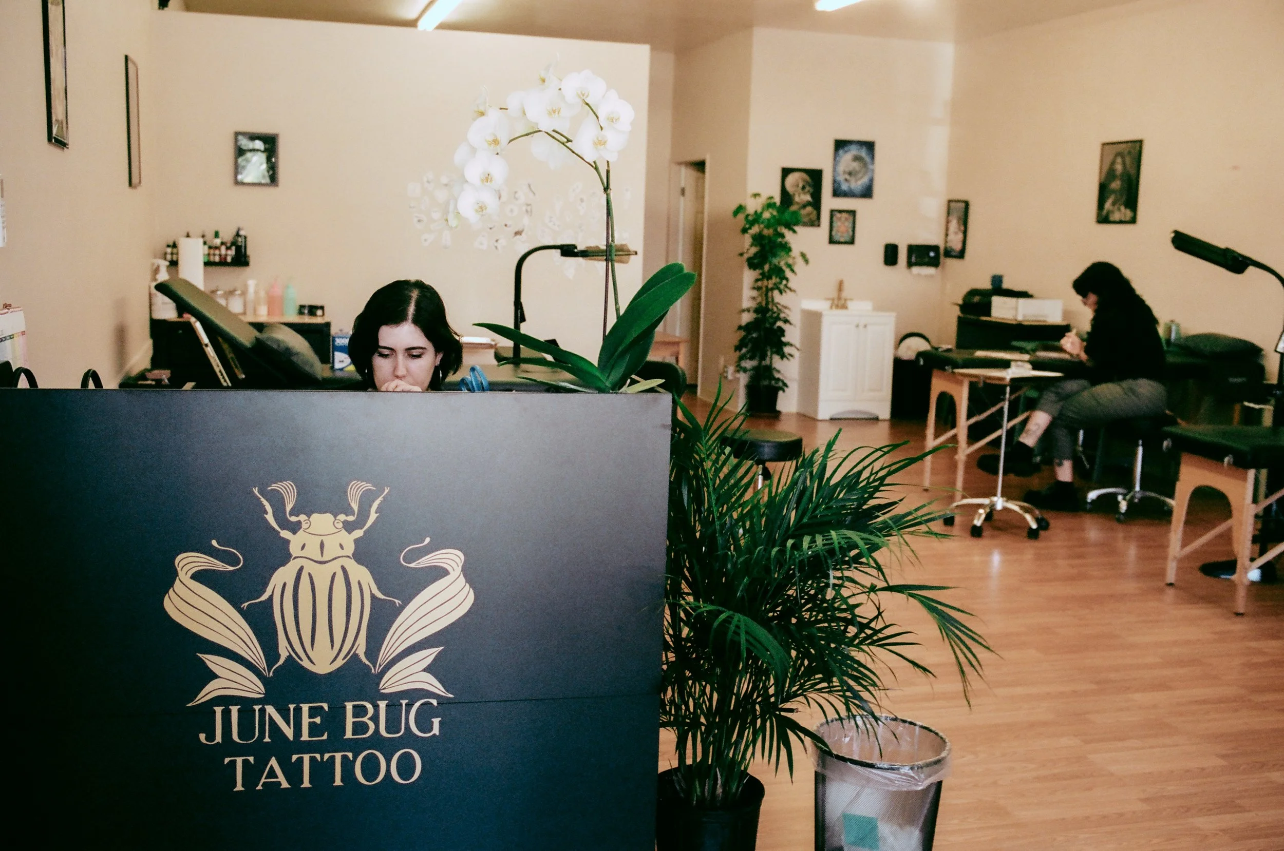 Portfolio — June Bug Tattoo