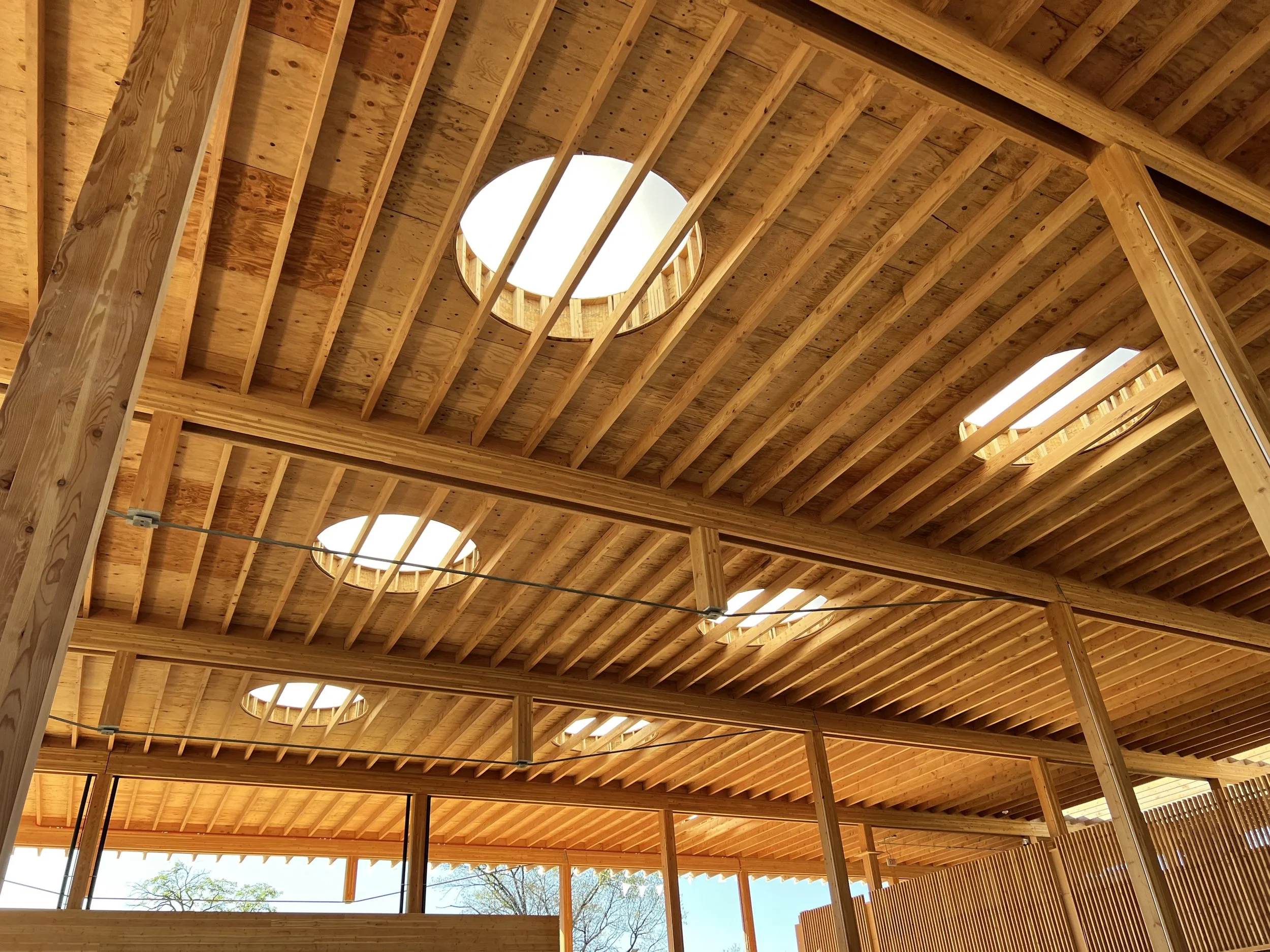 About — Sycamore & Oak